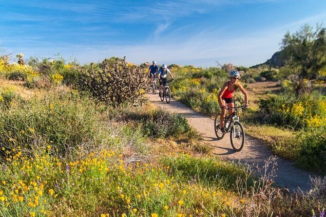 Sonoran Desert Guided Mountain Bike Tour - An In-Depth Look at the Tour