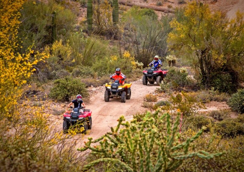 Sonoran Desert: Guided UTV or ATV Desert Tour - The Itinerary: What Exactly Will You Do?