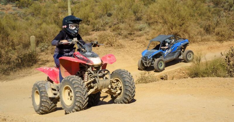 Sonoran Desert: Guided UTV or ATV Desert Tour - What’s Included and What’s Not