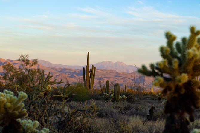 Sonoran Desert Jeep Tour at Sunset - The Off-Road Experience