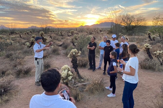 Sonoran Desert Jeep Tour at Sunset - Who Should Consider This Tour?