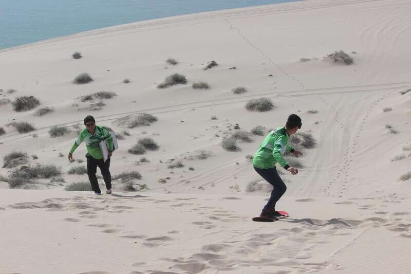 Sonora:Tour to the Sand Dunes of the desert in San Nicolás - Exploring the Saguaro Forest