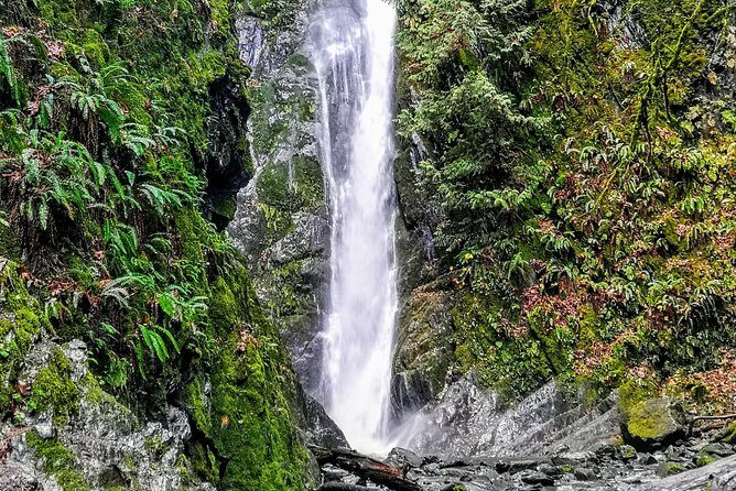 Sooke to Port Renfrew: Wild Pacific Adventure - Who Should Consider This Tour?