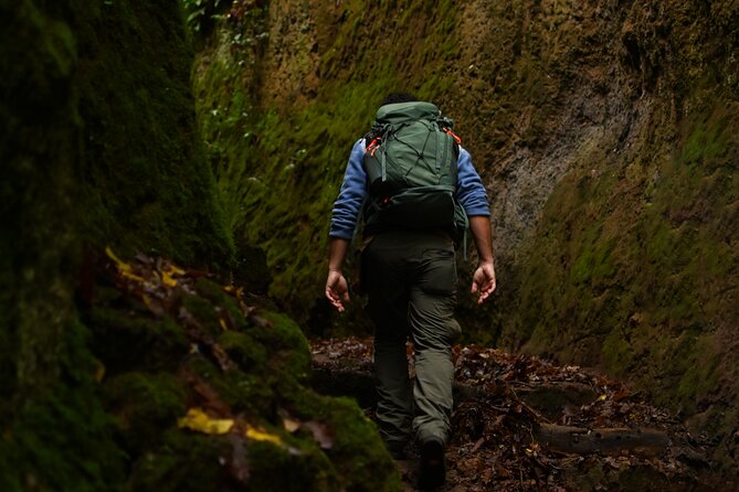 Sorano and its wonders, The Vie Cave and wine cellars - Panoramic Views from the Opposite Hill