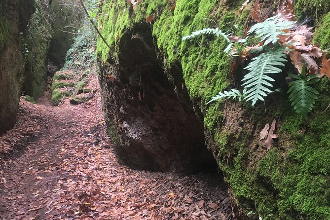 Sorano and its wonders, The Vie Cave and wine cellars - What Travelers Are Saying