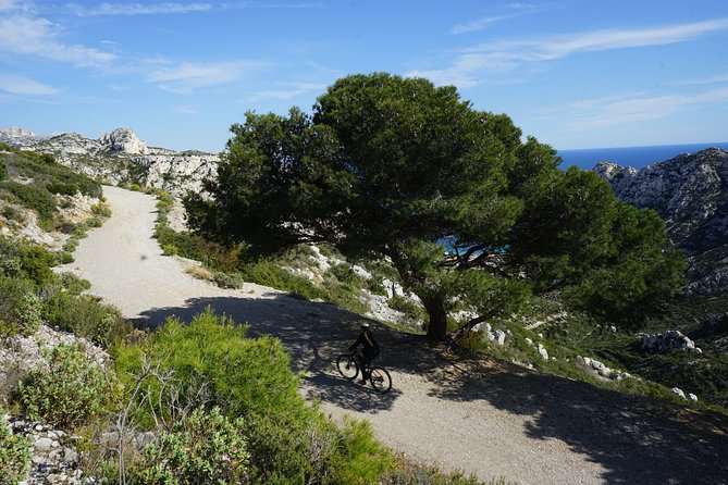Sormiou Calanques National Park Electric Bike Tour From Marseille - Meeting and Pickup Details