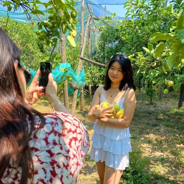 Sorrento: Authentic Lemon Experience in a Farm with Tastings - Key Points