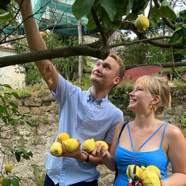 Sorrento: Authentic Lemon Experience in a Farm with Tastings - Who Would Love This Tour?