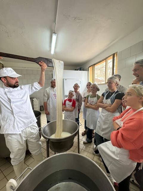 Sorrento Coast Mozzarella Tasting & Cheese Making Experience - The Sum Up