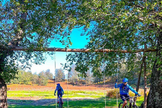 Sorrento e-bike adventure: olive oil and lemon tasting - The Itinerary in Detail