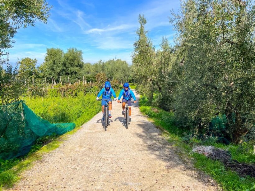 Sorrento: E-bike Oil & Lemon Tour with Tasting - What Makes This Tour Special?
