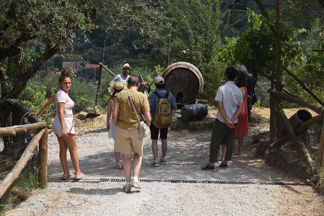 Sorrento Farm Experience: Wine Tasting, Pizza and Cheese Making - Authentic Italian Cuisine