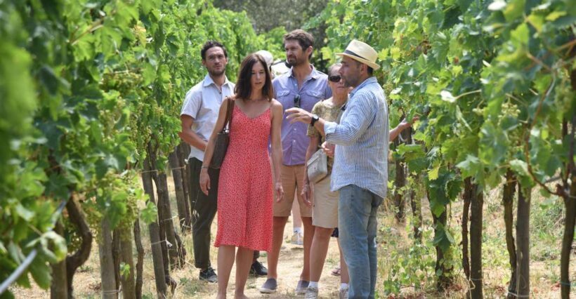 Sorrento: Farm Tour with Cheese Tasting & Pizza Making Class - Who Would Love This Tour?