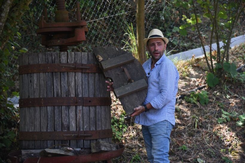 Sorrento: Farm Tour with Cheese Tasting & Pizza Making Class - The Sum Up