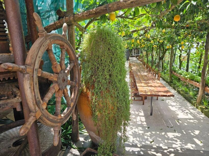 Sorrento: Food Tour by E-Bike and Visit at Vinegar Cellar - Discovering the Countryside on E-Bikes