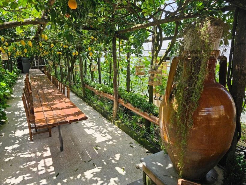 Sorrento: Food Tour by E-Bike and Visit at Vinegar Cellar - Visiting the Old Farmhouse and Fruit Groves