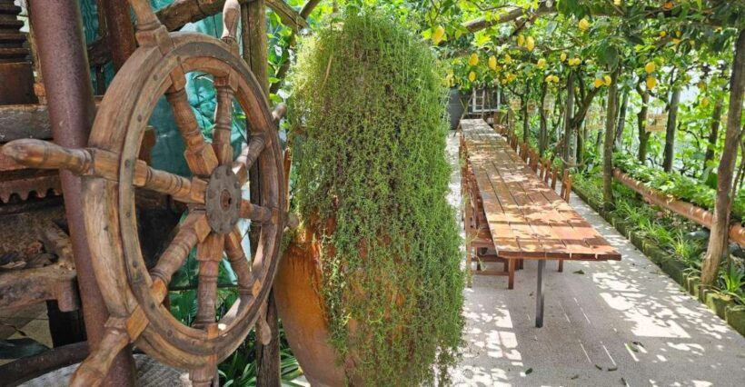 Sorrento: Food Tour by E-Bike and Visit at Vinegar Cellar - Fresh, Local Lunchtime Experience