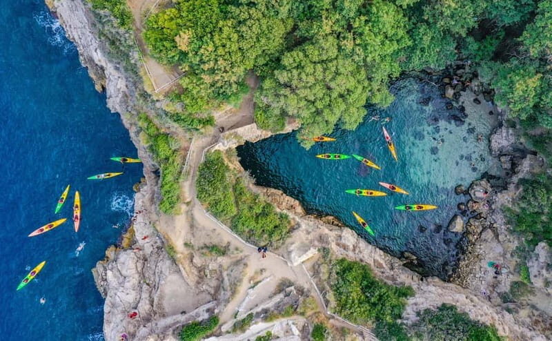 Sorrento: Guided Kayak Tour + Free 1h Paddleboarding - Key Points