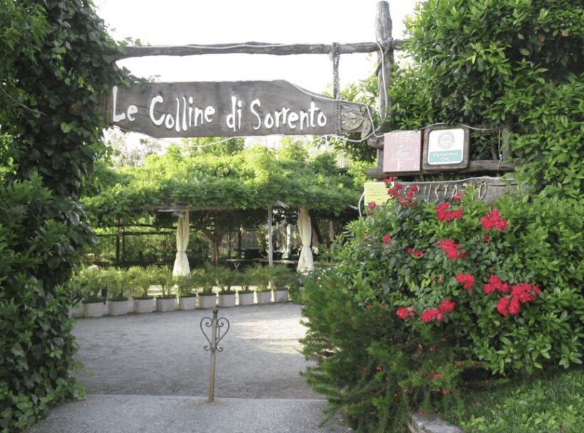 Sorrento: Lemon Garden Guided Tour with Tastings - Value and Practicalities