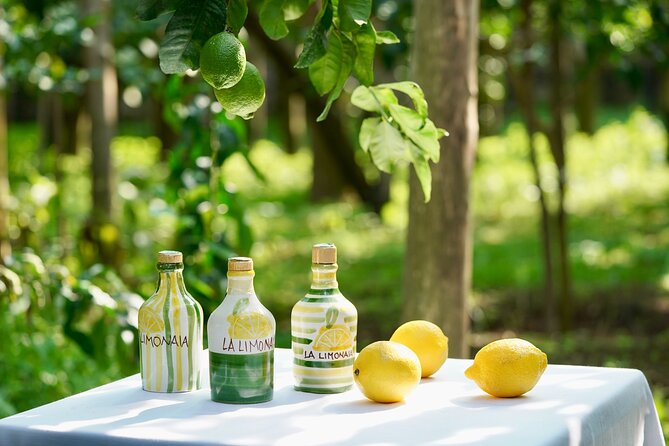 Sorrento Lemon Grove Experience with Local Product Tasting - Who Will Love This Tour?