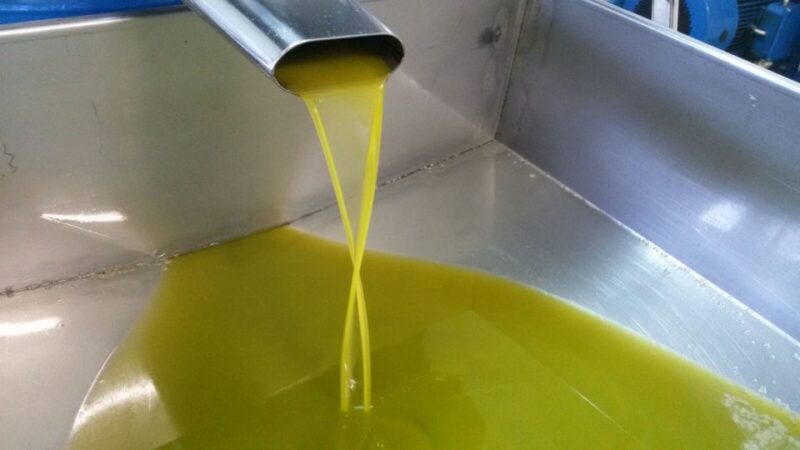 Sorrento: Lemon, Olive Oil and Wine Tasting Tour With Lunch - Key Points