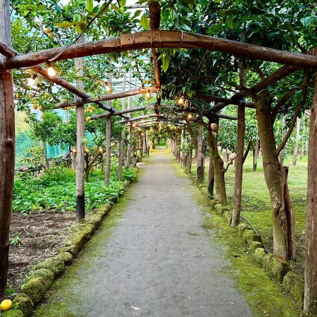 Sorrento Lemon Tour - Introduction