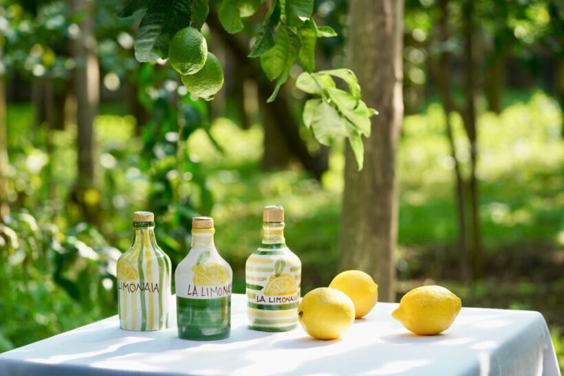 Sorrento Lemon Tour - The Sum Up