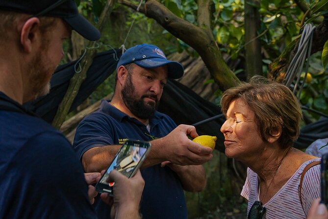 Sorrento Lemons Grove and Farm Tour Tasting With Pizza Class - Key Points