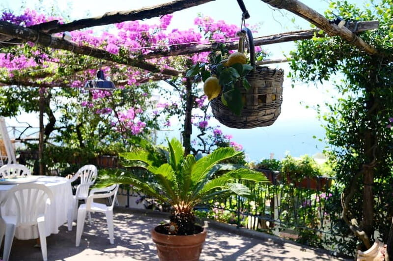 Sorrento: Marì Cooking Class in a Family Farm w/ Coast View - An In-Depth Look at the Experience