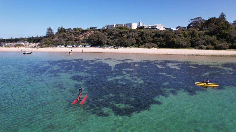 Sorrento, Mornington Peninsula Waterbike Tour - Practical Considerations and Suitability