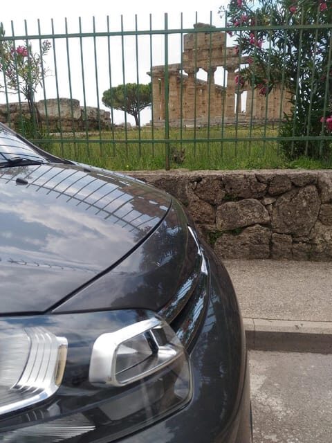 Sorrento: Paestum Temples & Buffalo Mozzarella Farm Tour - Who Will Love This Tour?
