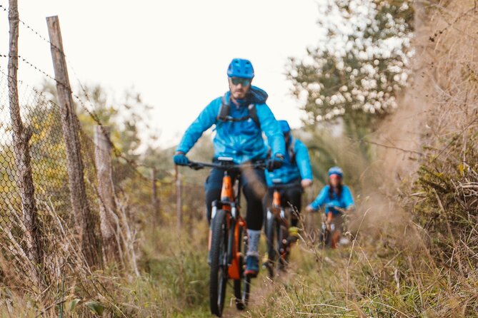 Sorrento Peninsula: tour in e-bike - Analyzing the Value