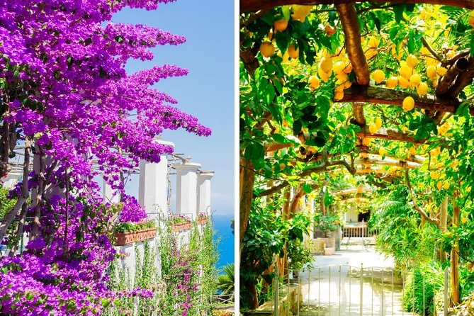 Sorrento & Pompeii From Rome - Private Day Trip - FAQ