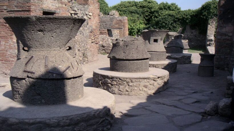 Sorrento: Pompeii & Herculaneum Tour with Skip-the-Line - Who Will Love This Tour?