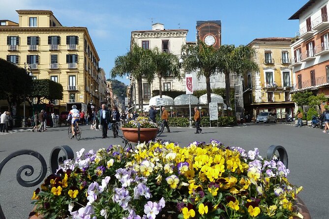 Sorrento, Positano and Amalfi Coast in One Day From Naples - Cost and Value Analysis