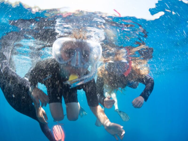 Sorrento: Snorkeling Morning Tour With a Marine Biologist. - Pricing and Booking