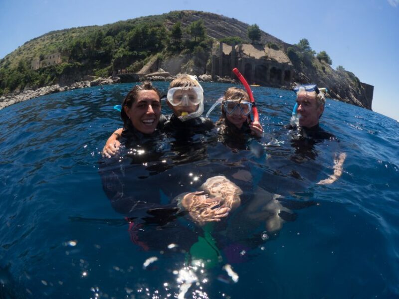 Sorrento: Snorkeling Morning Tour With a Marine Biologist. - Tour Highlights