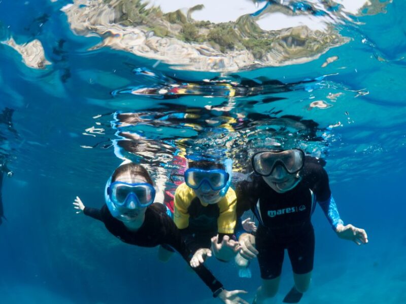 Sorrento: Snorkeling Morning Tour With a Marine Biologist. - Inclusions