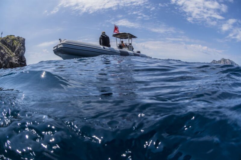 Sorrento: Snorkeling Morning Tour With a Marine Biologist. - Preparation and Meeting Point