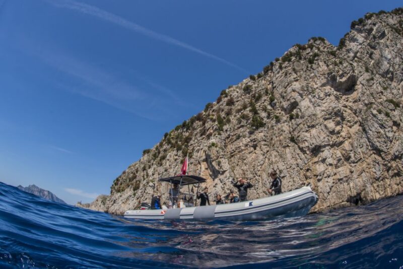Sorrento: Snorkeling Morning Tour With a Marine Biologist. - Exploring the Sorrento Coast