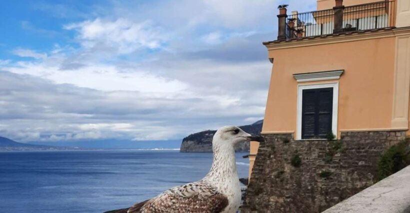 Sorrento: walking in the Grand Tour with stunning landscapes - A Scenic Introduction to Sorrento’s Charm