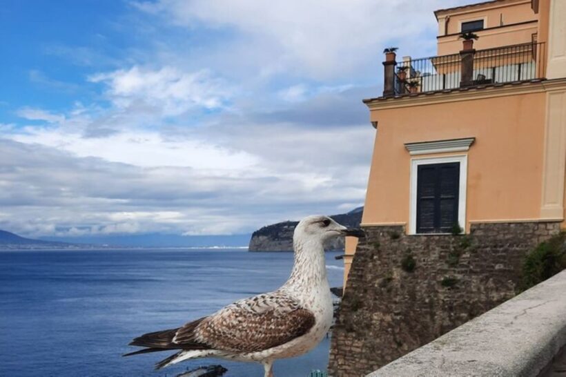 Sorrento: walking in the Grand Tour with stunning landscapes - The Public Garden and Vistas of the Gulf