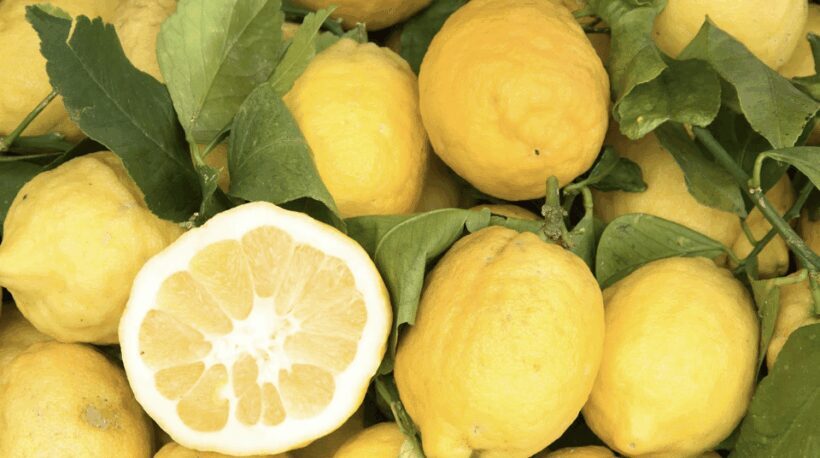 Sorrento: Walking Tour in Lemon Garden w/ Food Tasting - The Itinerary and What You Can Expect