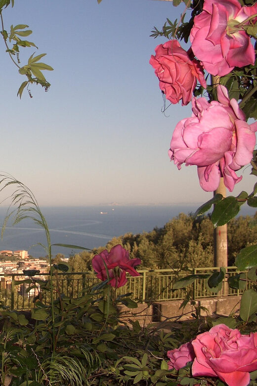 Sorrento: Walking Tour in Lemon Garden w/ Food Tasting - The Value of This Tour