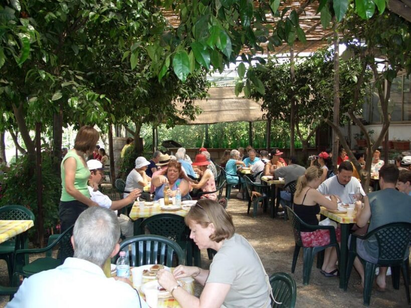 Sorrento: Walking Tour in Lemon Garden w/ Food Tasting - Who Will Love This Tour?