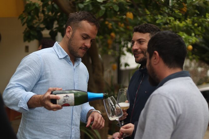 Sorrento Wine Tasting e Food Pairing Experience - The Wines and Flavors