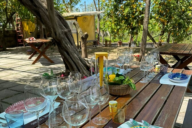 Sorrento Wine Tasting e Food Pairing Experience - Practical Details and Value