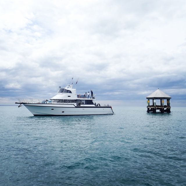 Sorrento,Mornington Peninsula: Wildlife & Sightseeing Cruise - What this tour offers and why it might appeal to you