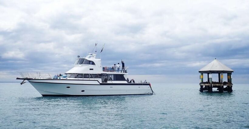 Sorrento,Mornington Peninsula: Wildlife & Sightseeing Cruise - Who Should Consider This Tour?