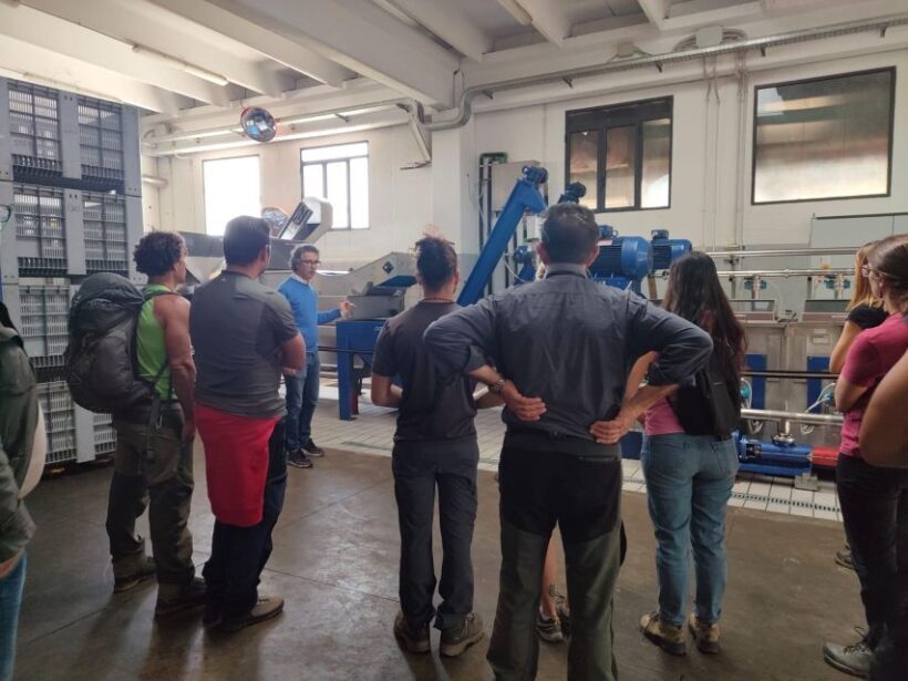 Sortino: Olive Oil tasting with Sicilian Products and Wine - What Makes This Tour Stand Out?